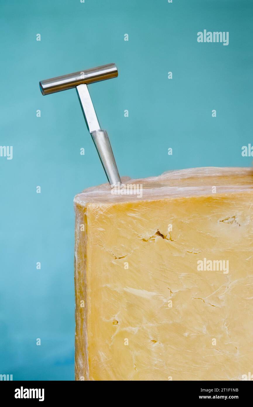 A Wheel Of Cheddar Cheese With A Cheese Corer Stuck In It, England UK ...