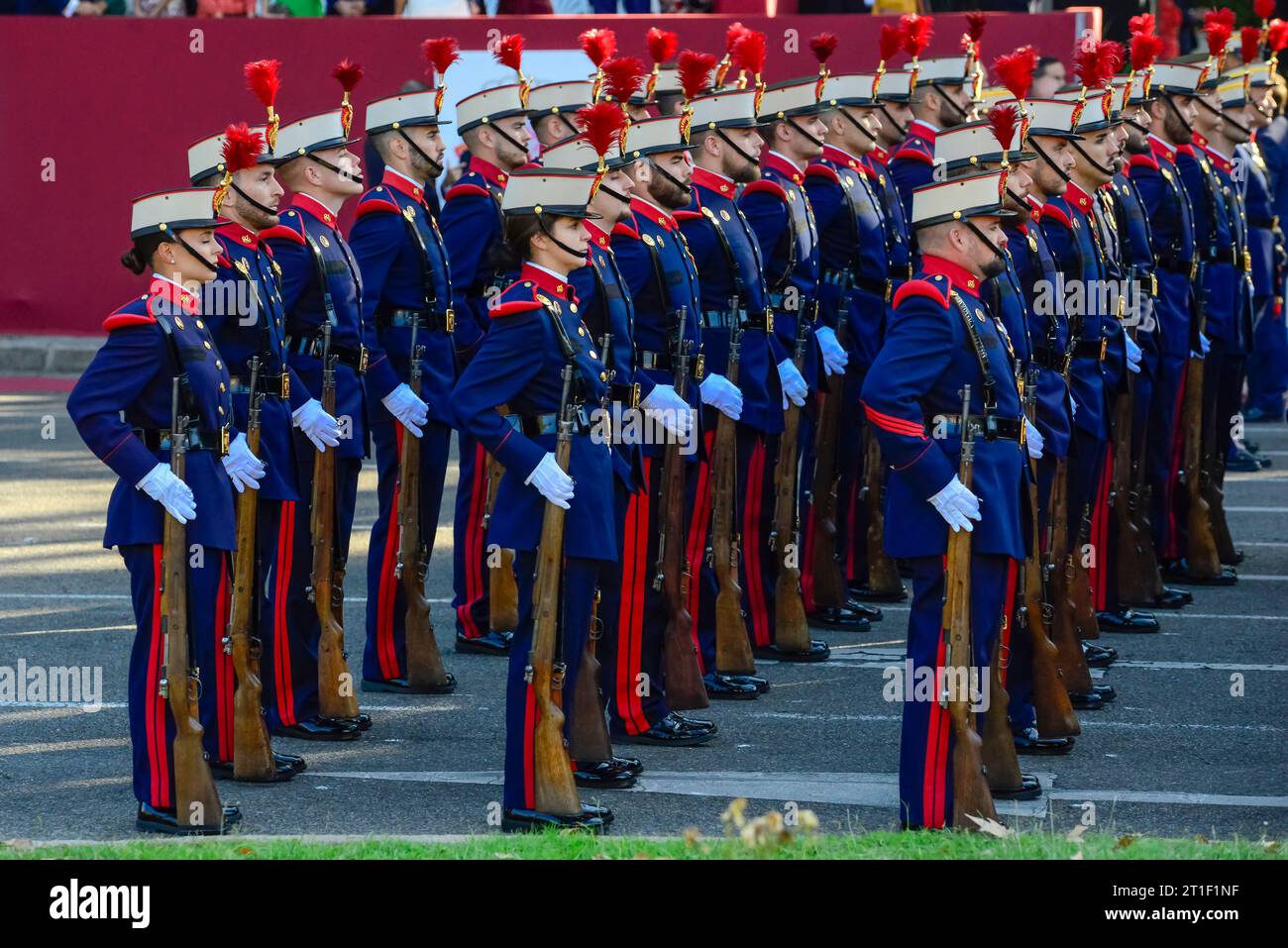 King's guards on parade. Some 4,100 military personnel participated during the National Day ...
