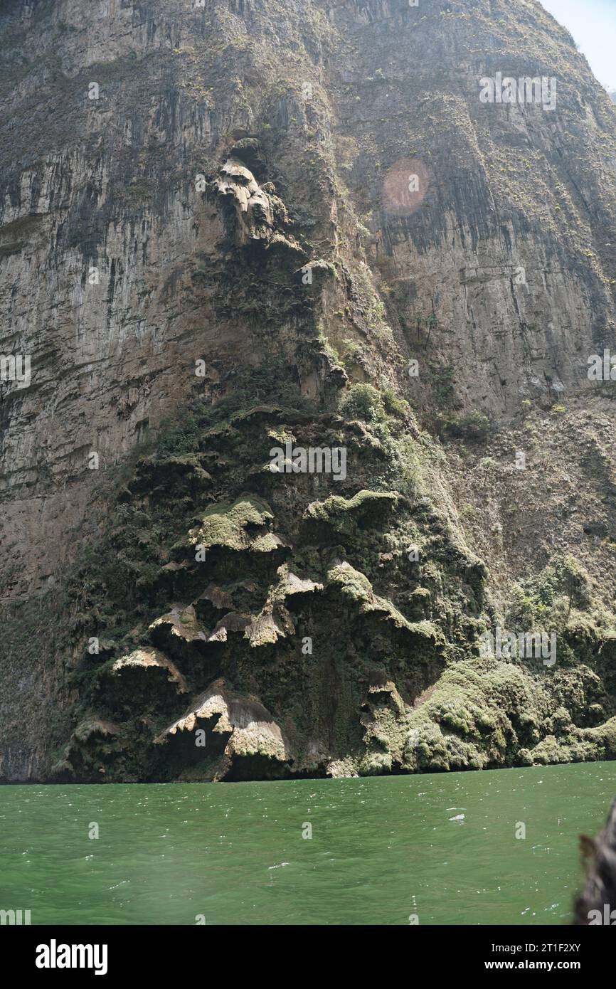christmas tree, sumidero canyon, limestone, mountain, cliff at chiapas ...