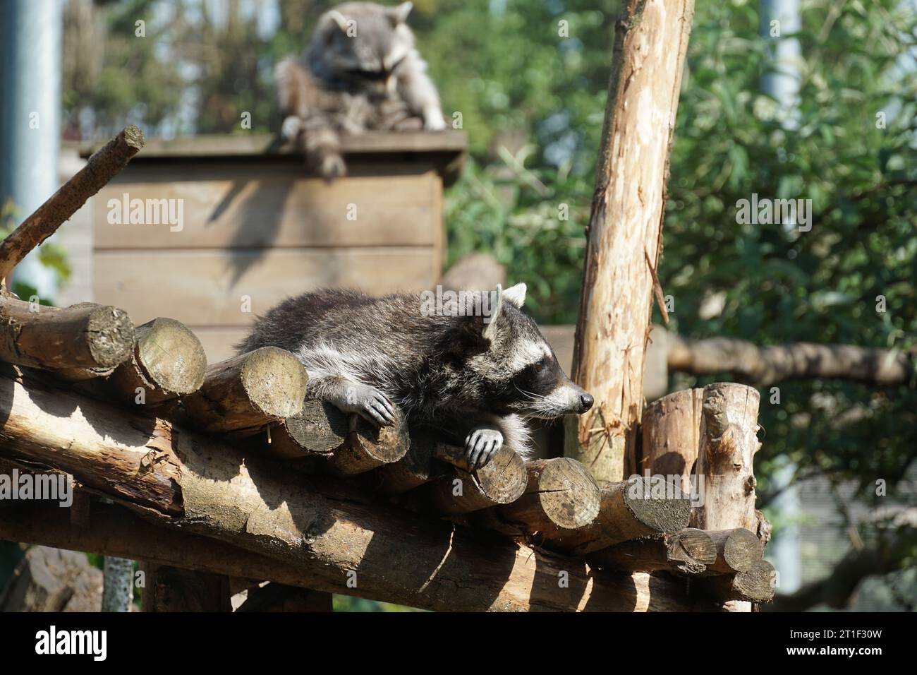 Zoo enclosure hi-res stock photography and images - Alamy