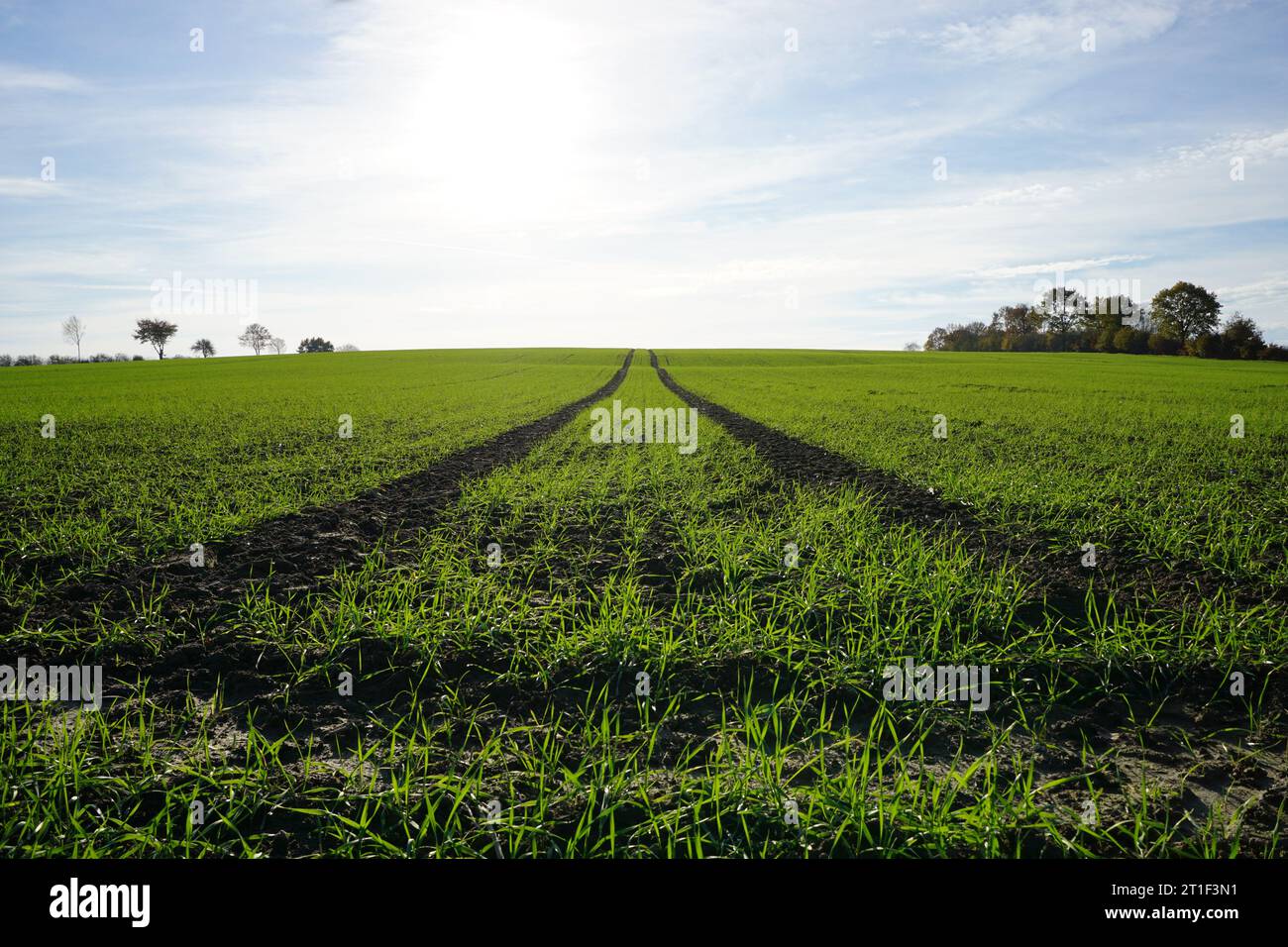 4k germany hi-res stock photography and images - Alamy