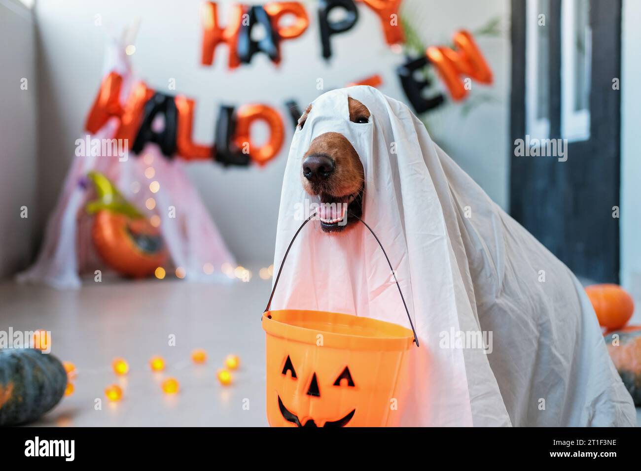 Portrait ghost in white sheet hi-res stock photography and images - Alamy