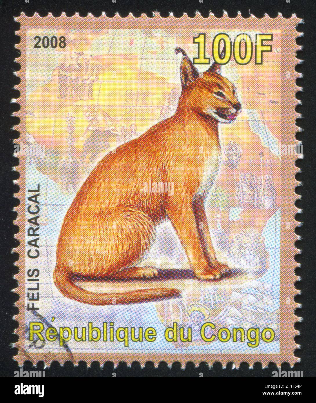 CONGO - CIRCA 2008: stamp printed by Congo, shows Caracal, circa 2008 ...