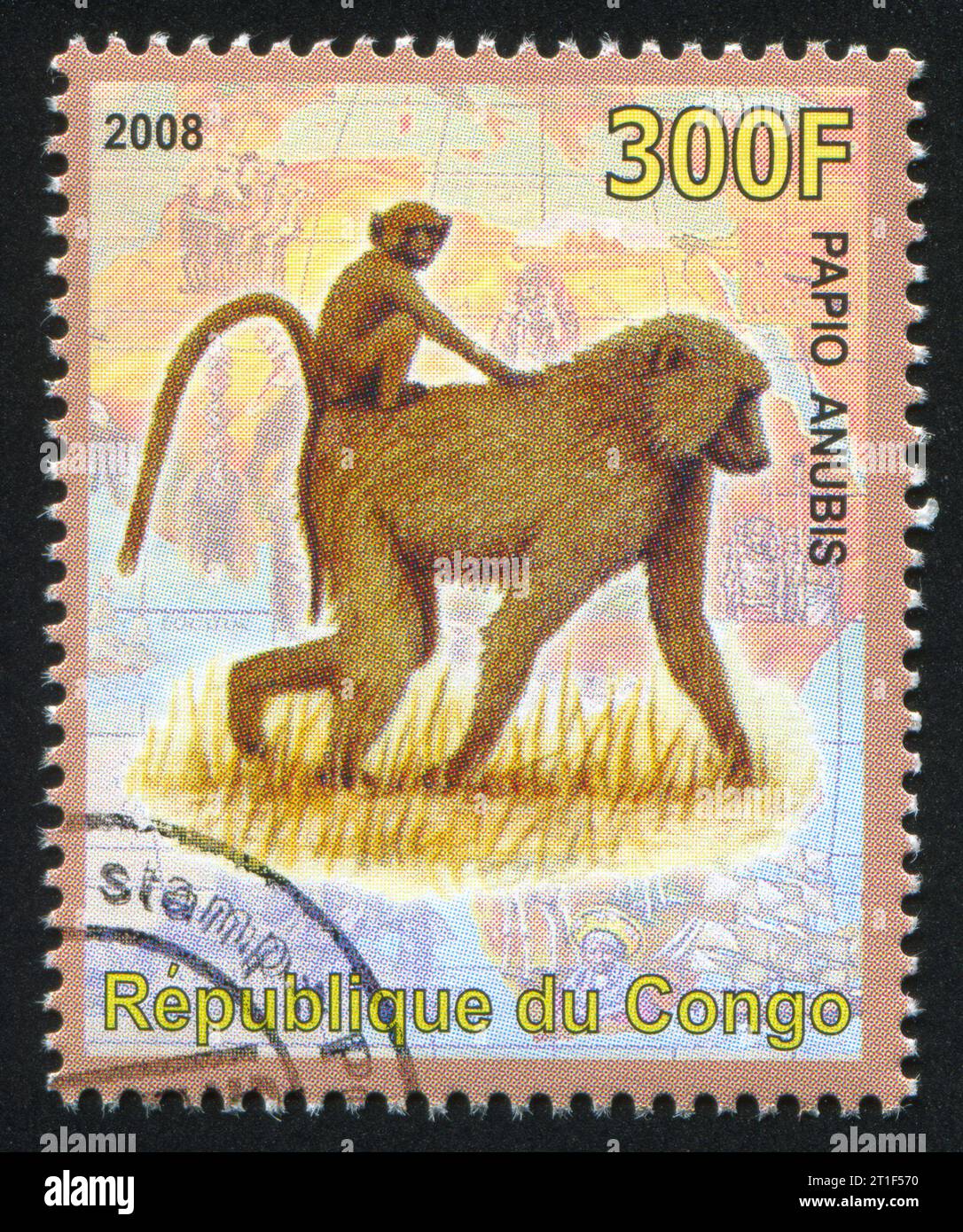 CONGO - CIRCA 2008: stamp printed by Congo, shows Olive baboon, circa ...