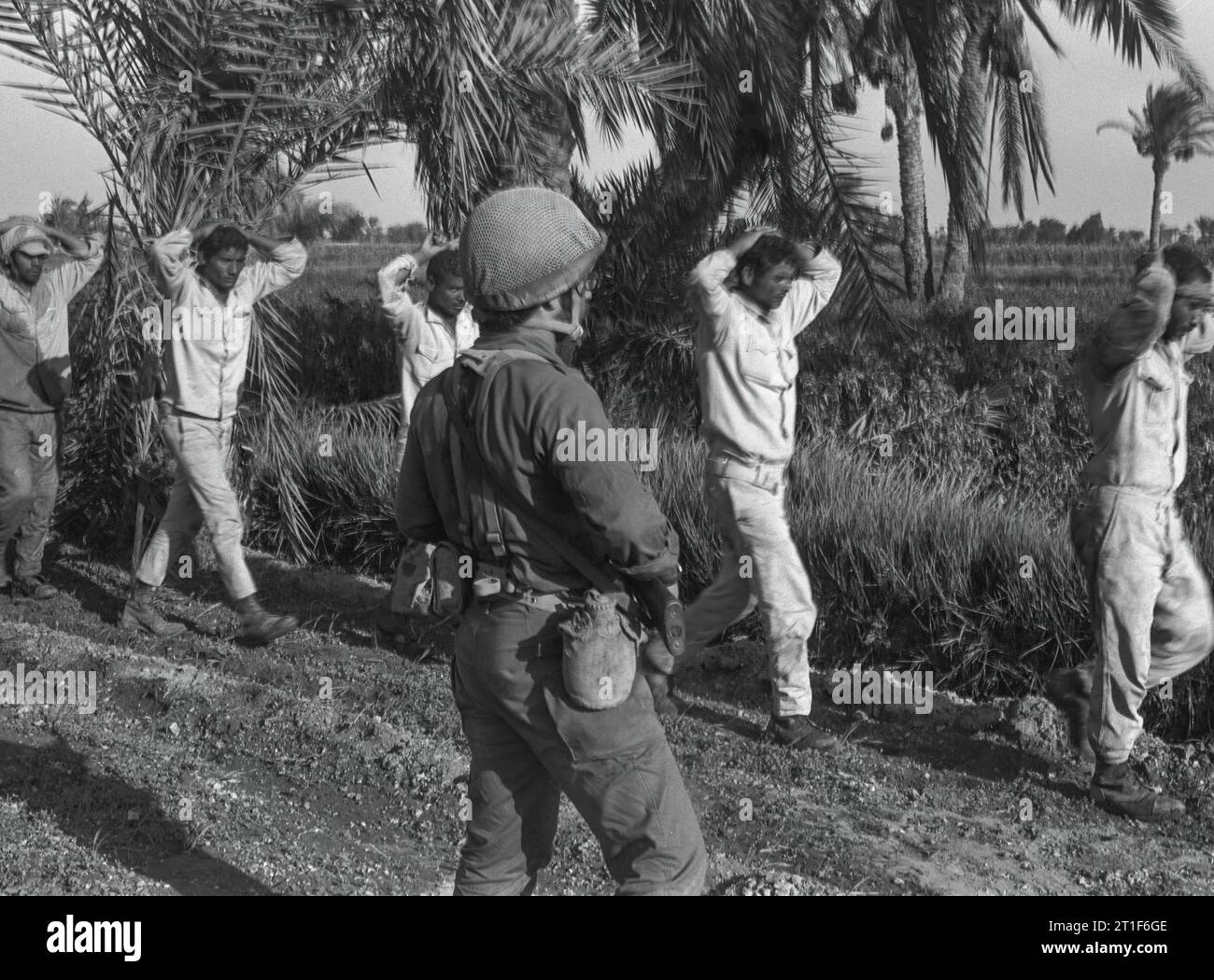 YOM KIPPUR WAR. IN THE PHOTO, EGYPTIAN PRISONERS OF WAR. IDF photograph ...