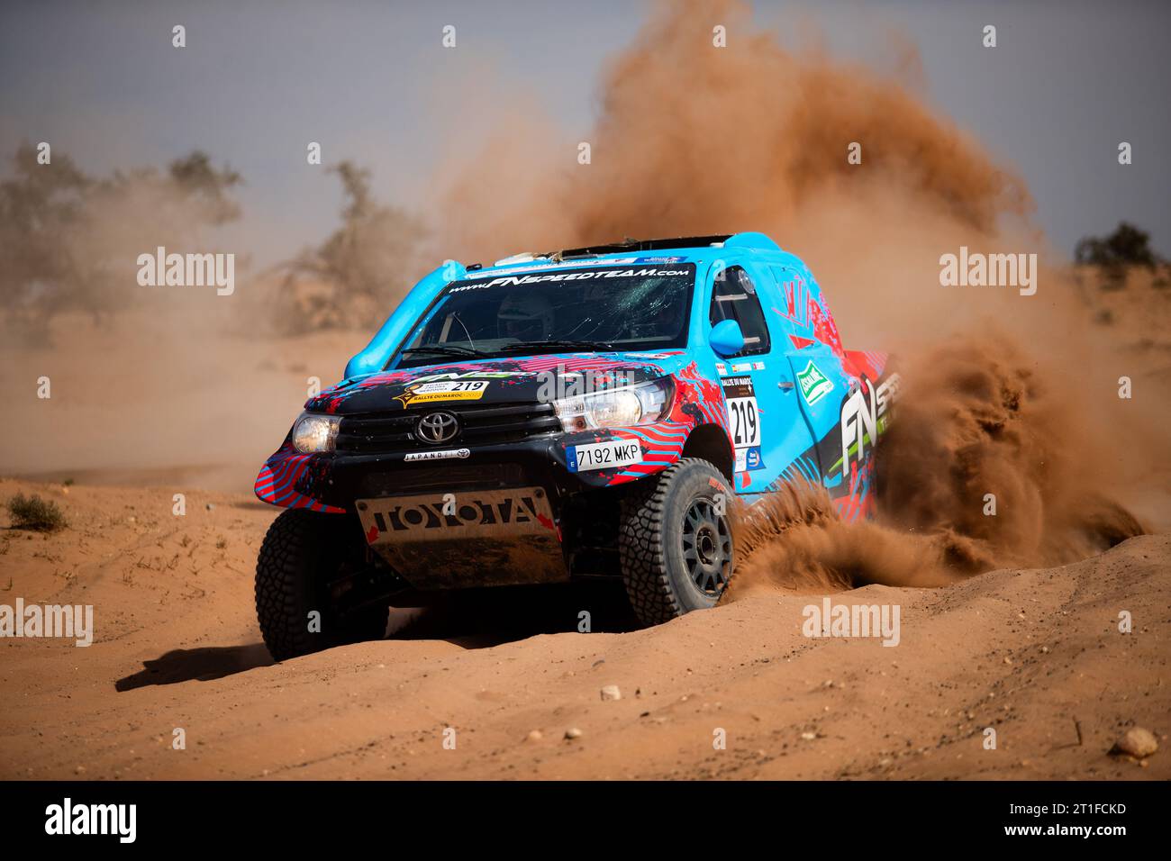 219 NAVARRO Pau (spa), REIS Gonzalo (prt), FN Speed Team, Toyota Hilux ...