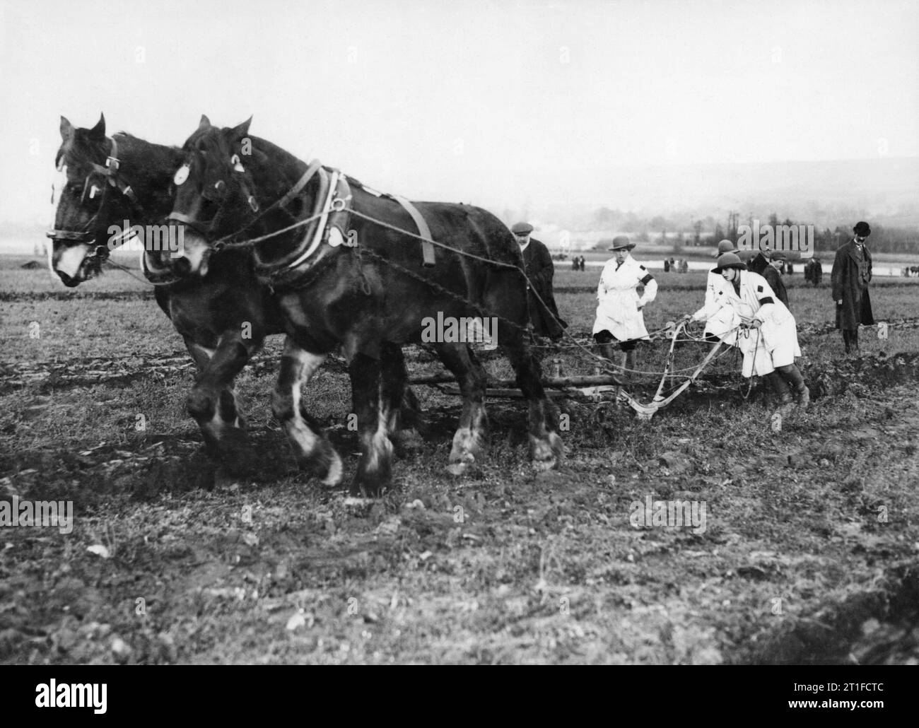 Agriculture in Britain during the First World War Members of the Women ...