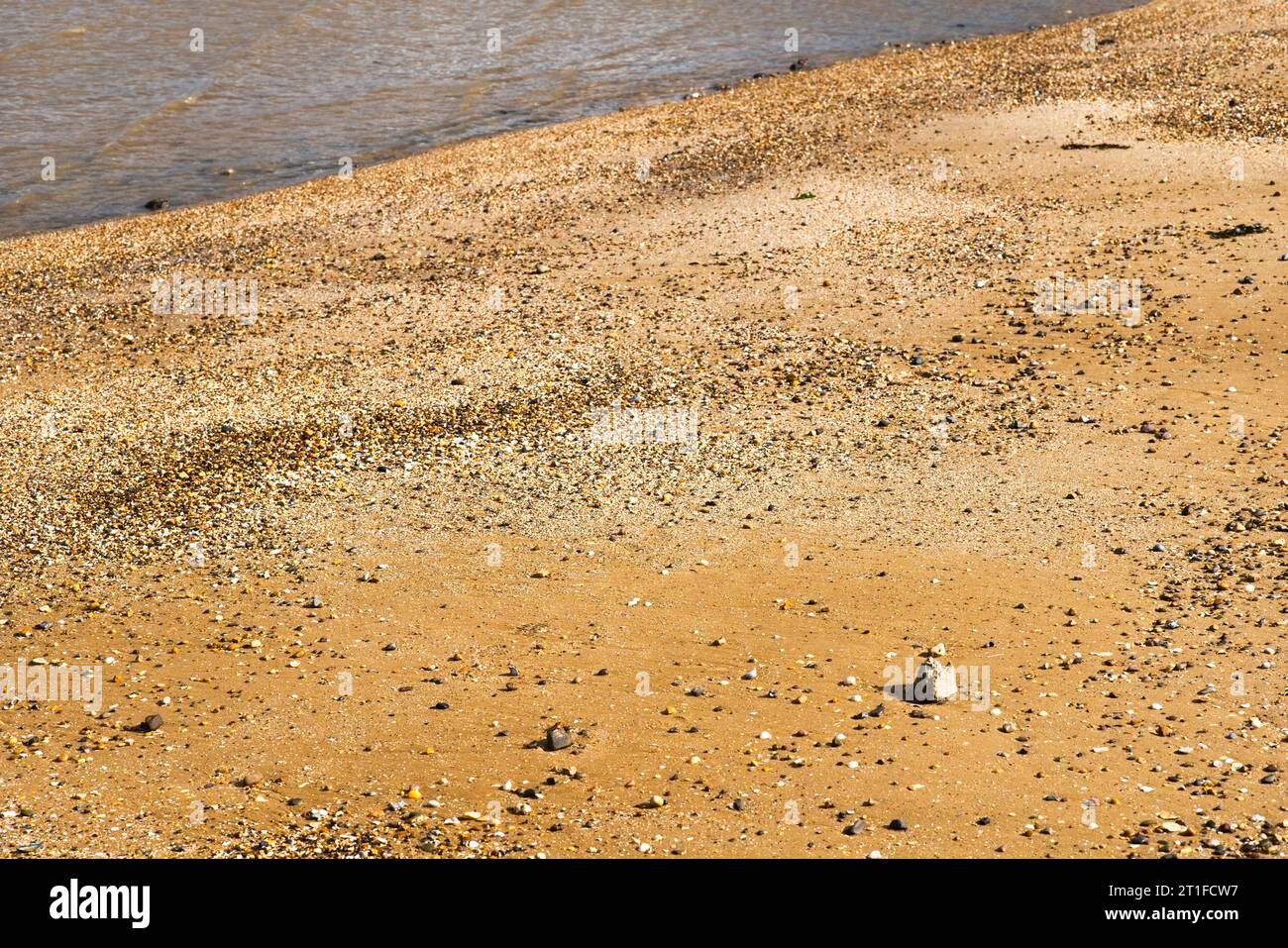 Very strong side light showing pebbles and small shells on a sandy ...