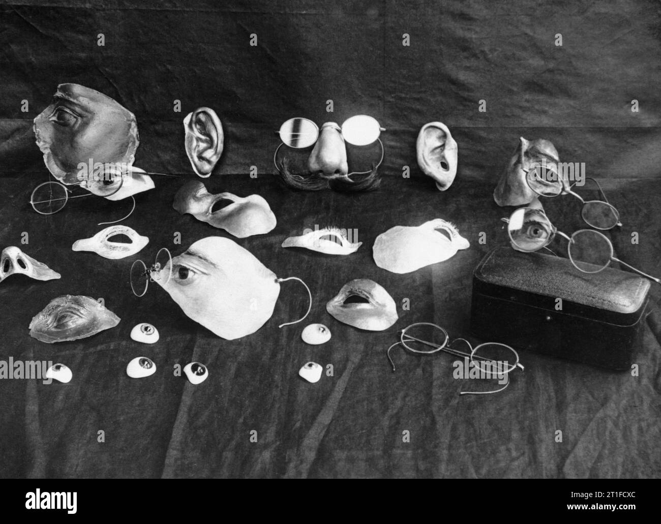 The Development of Reconstructive Plastic Surgery during the First ...