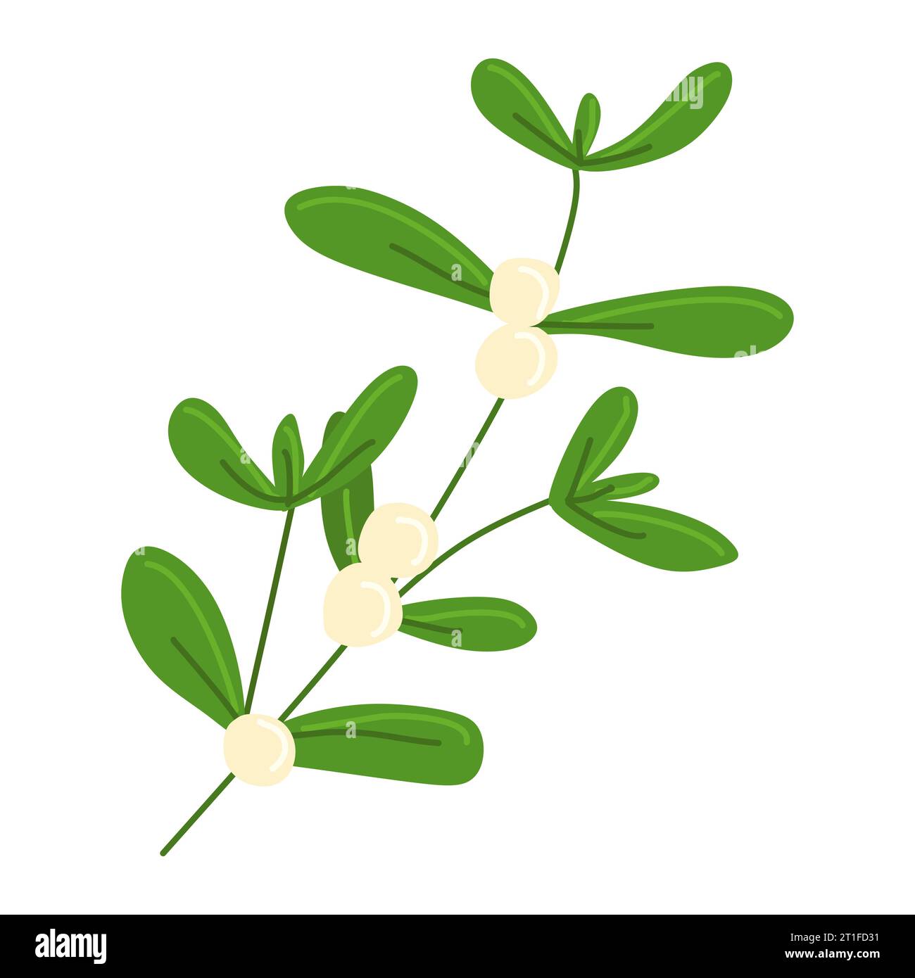Mistletoe Branch Vector Flat illustration. Colorful Twig Composition ...