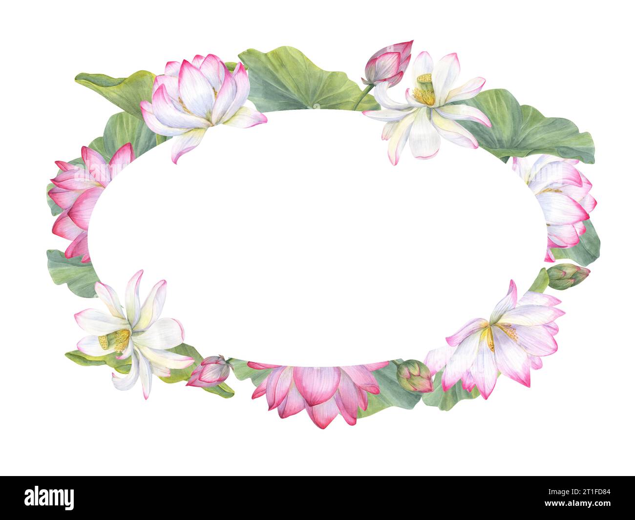 Frame of Indian sacred lotus flowers with leaves. Water lily, Indian ...