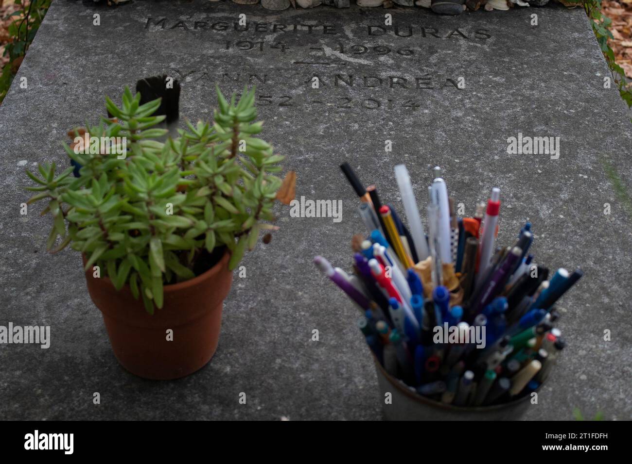 The grave of French novelist and playwright tMarguerite Duras with pots ...