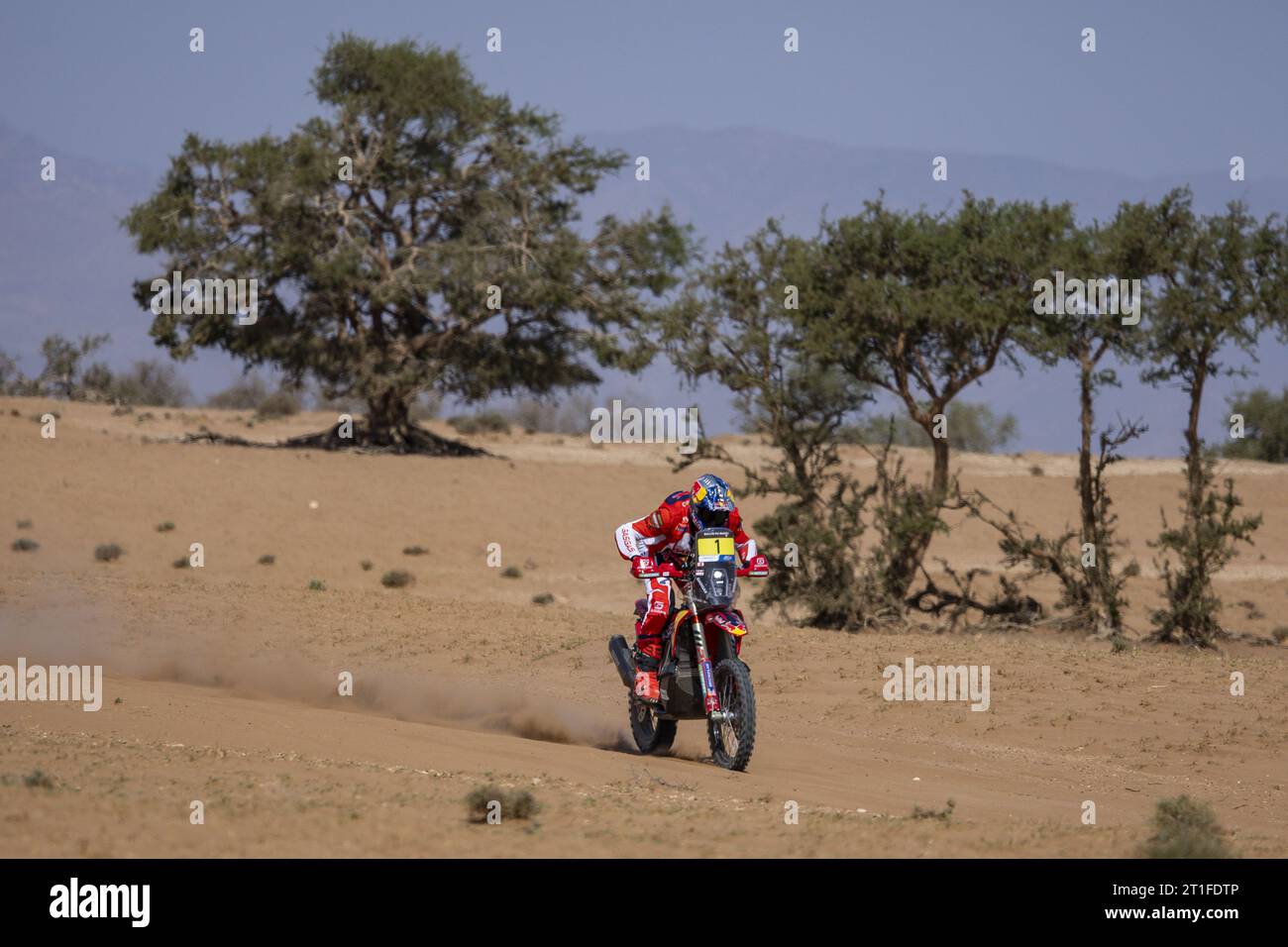 01 SUNDERLAND Sam (gbr), Red Bull GasGas Factory Racing, GasGas 450 ...