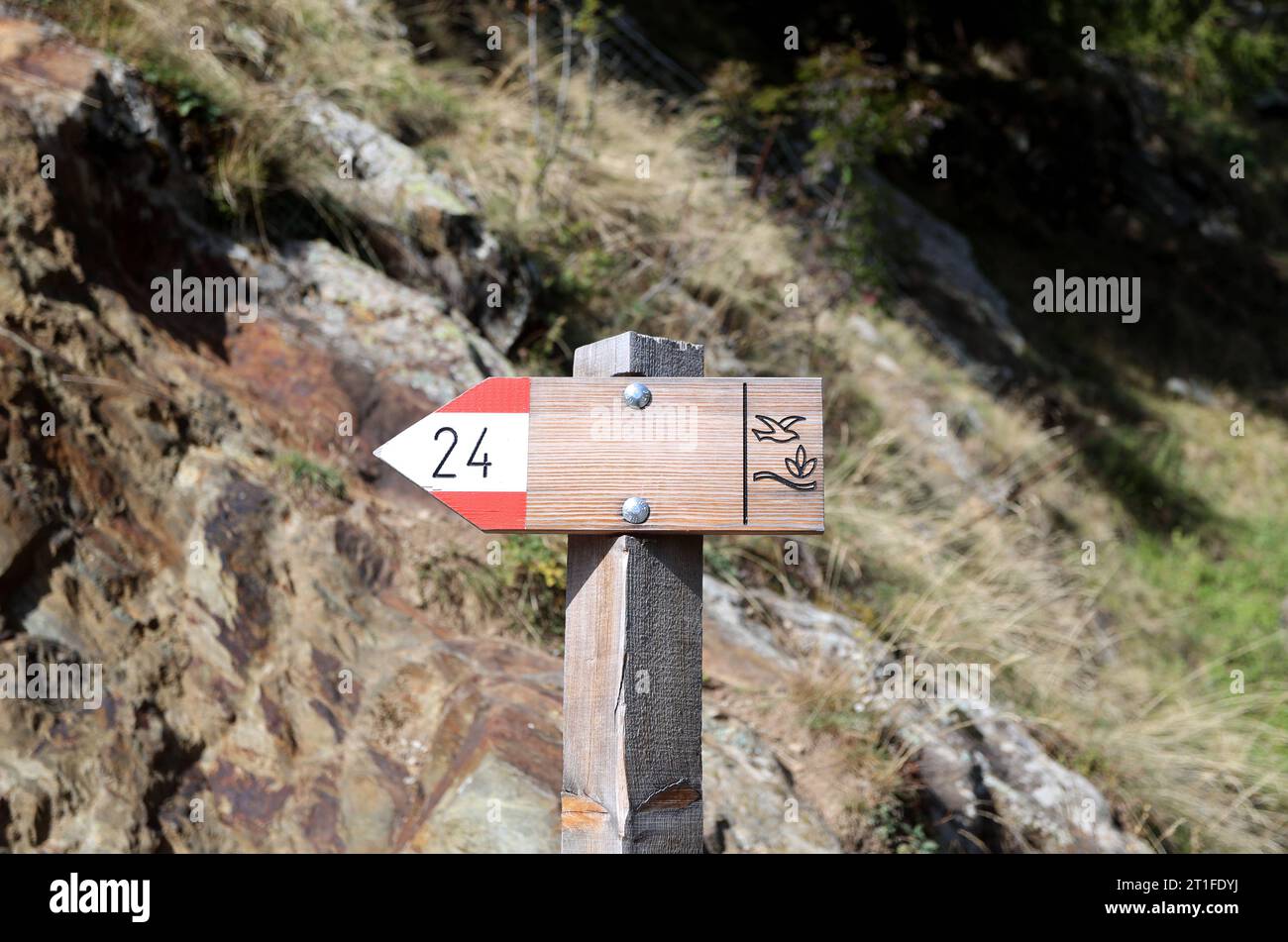 Auf wegzeichen hi-res stock photography and images - Alamy