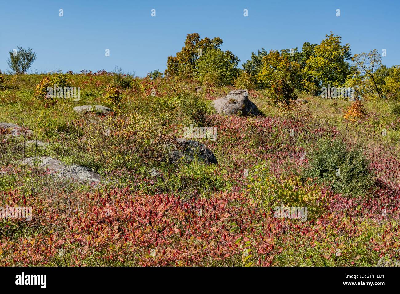 Colorful Country Hillside, Pennsylvania USA Stock Photo - Alamy