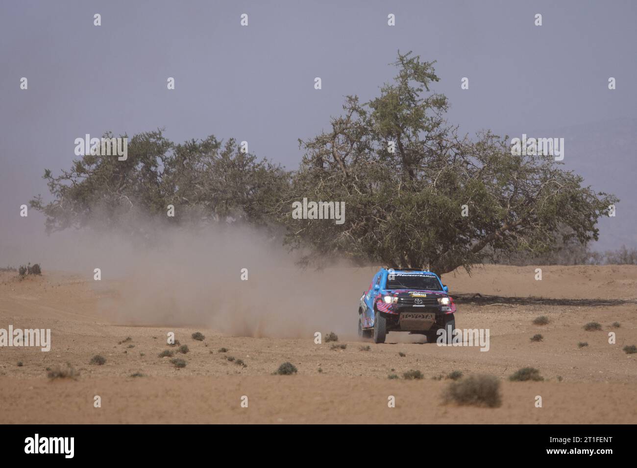 219 NAVARRO Pau (spa), REIS Gonzalo (prt), FN Speed Team, Toyota Hilux ...