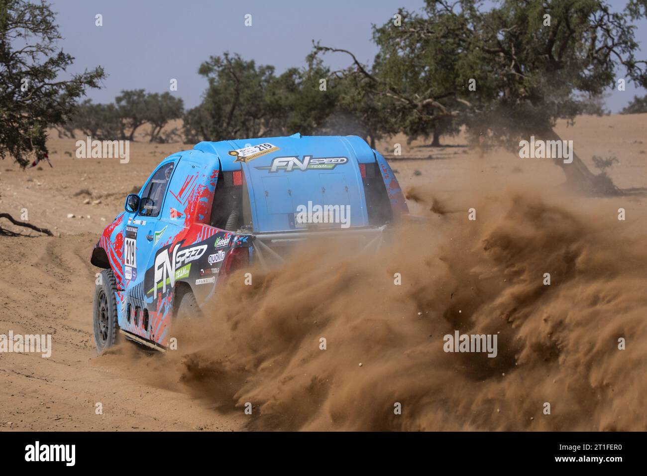 219 NAVARRO Pau (spa), REIS Gonzalo (prt), FN Speed Team, Toyota Hilux ...