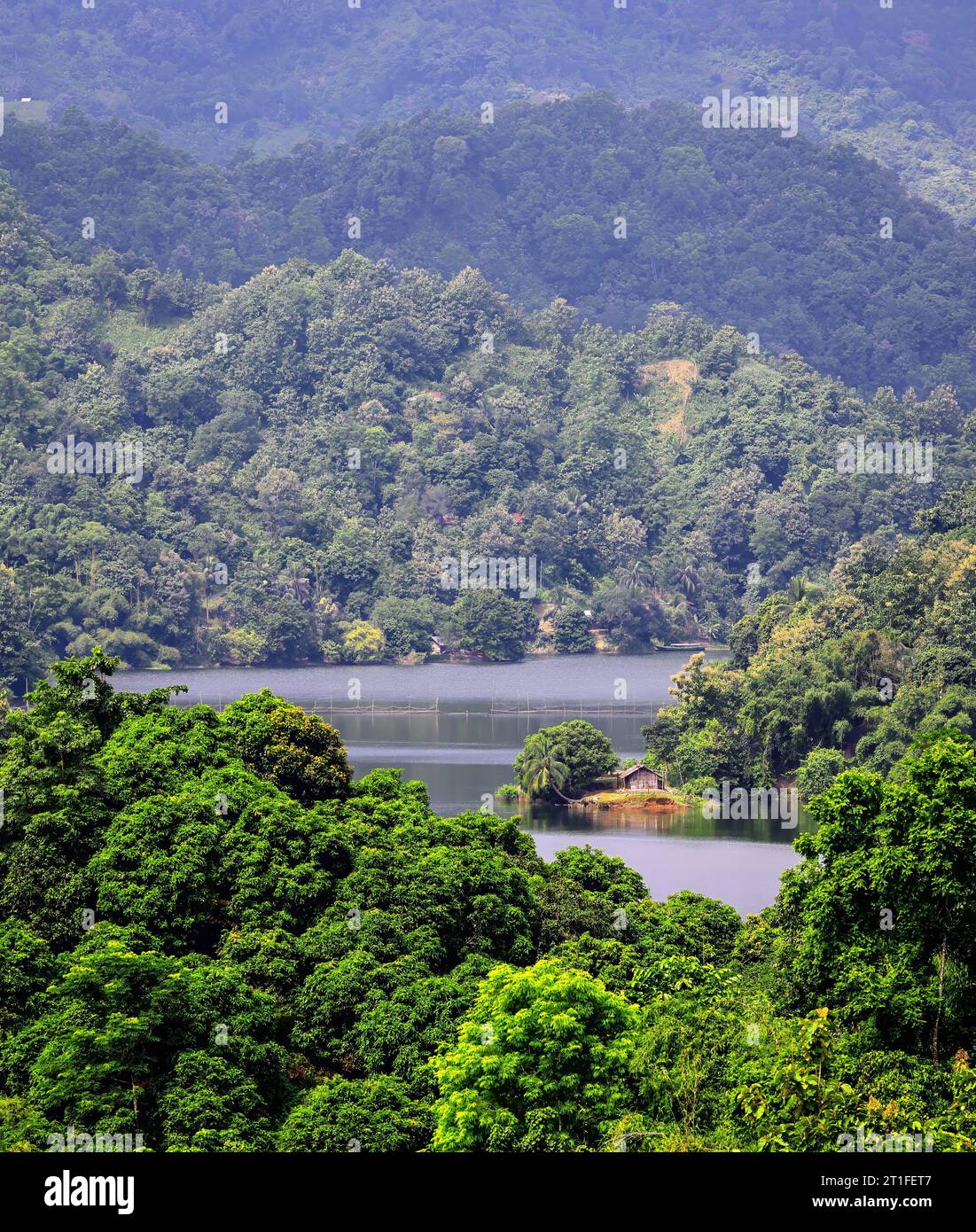 Beauty of nature. Kaptai, Chittagong,Bangladesh Stock Photo - Alamy