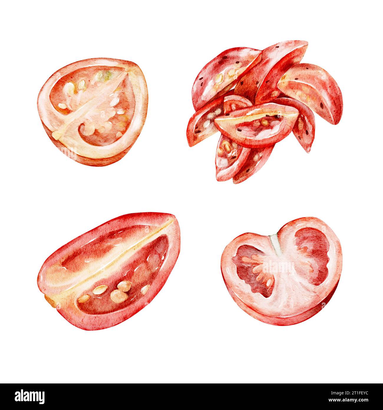 Set of digital watercolor illustrations with slices and halves of ripe ...