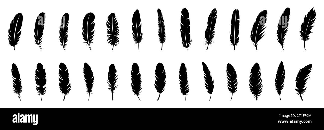 Feather Set icon, logo isolated on white background. Vector ...