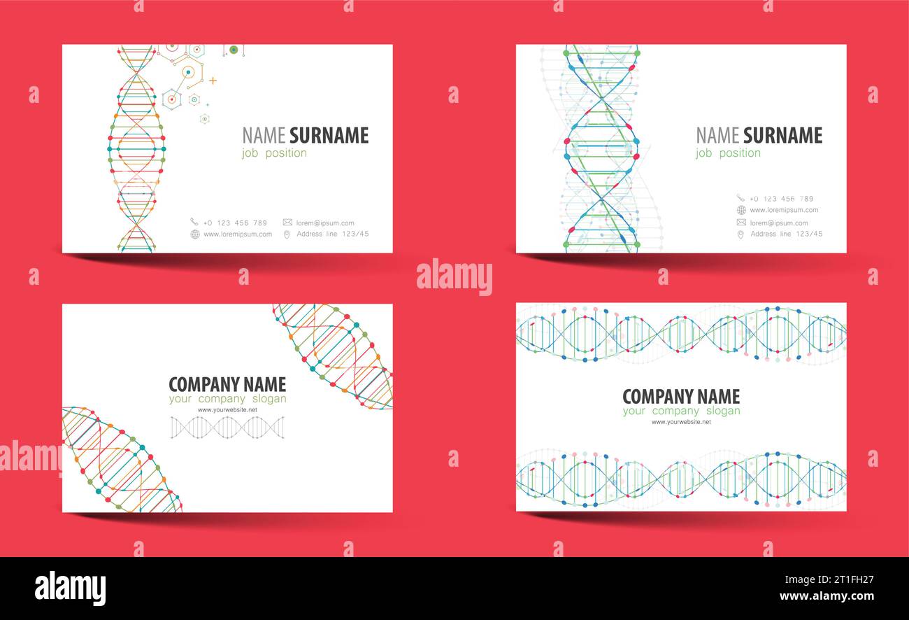 Creative double-sided business card template. DNA theme. Vector Stock ...