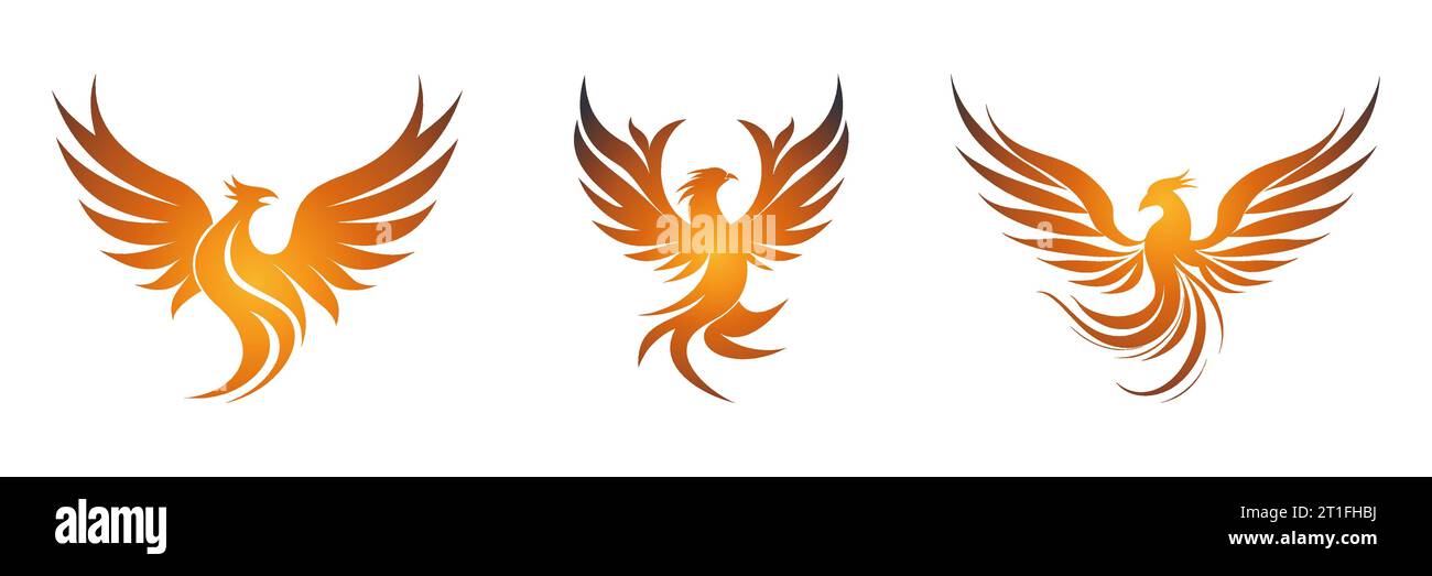 Set Phoenix Rings Wings logo. Falcon Eagle Hawk bird logo icon. Vector ...