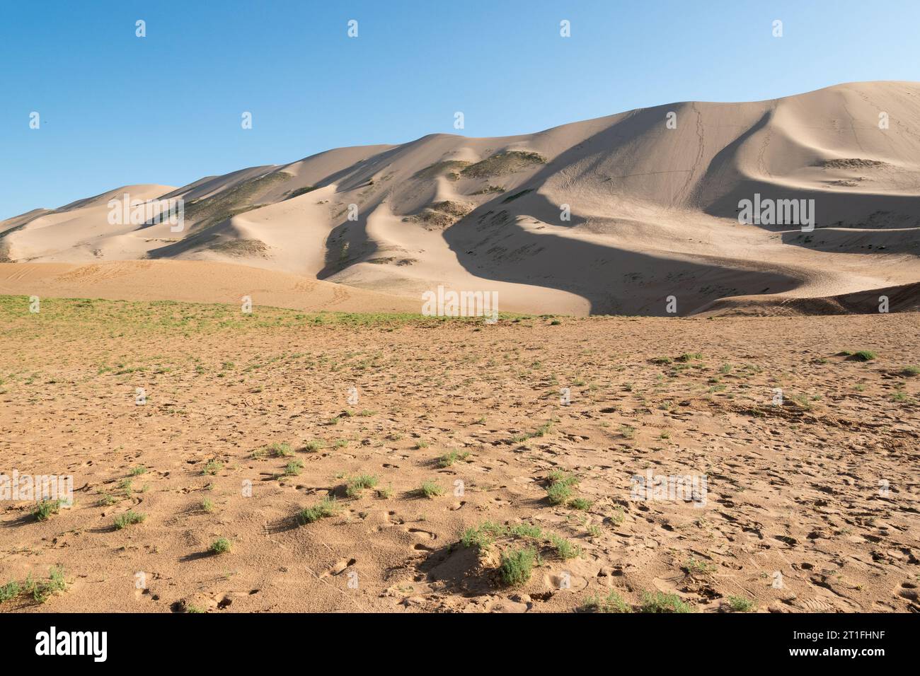 Dunas del desierto de gobi hi-res stock photography and images - Alamy