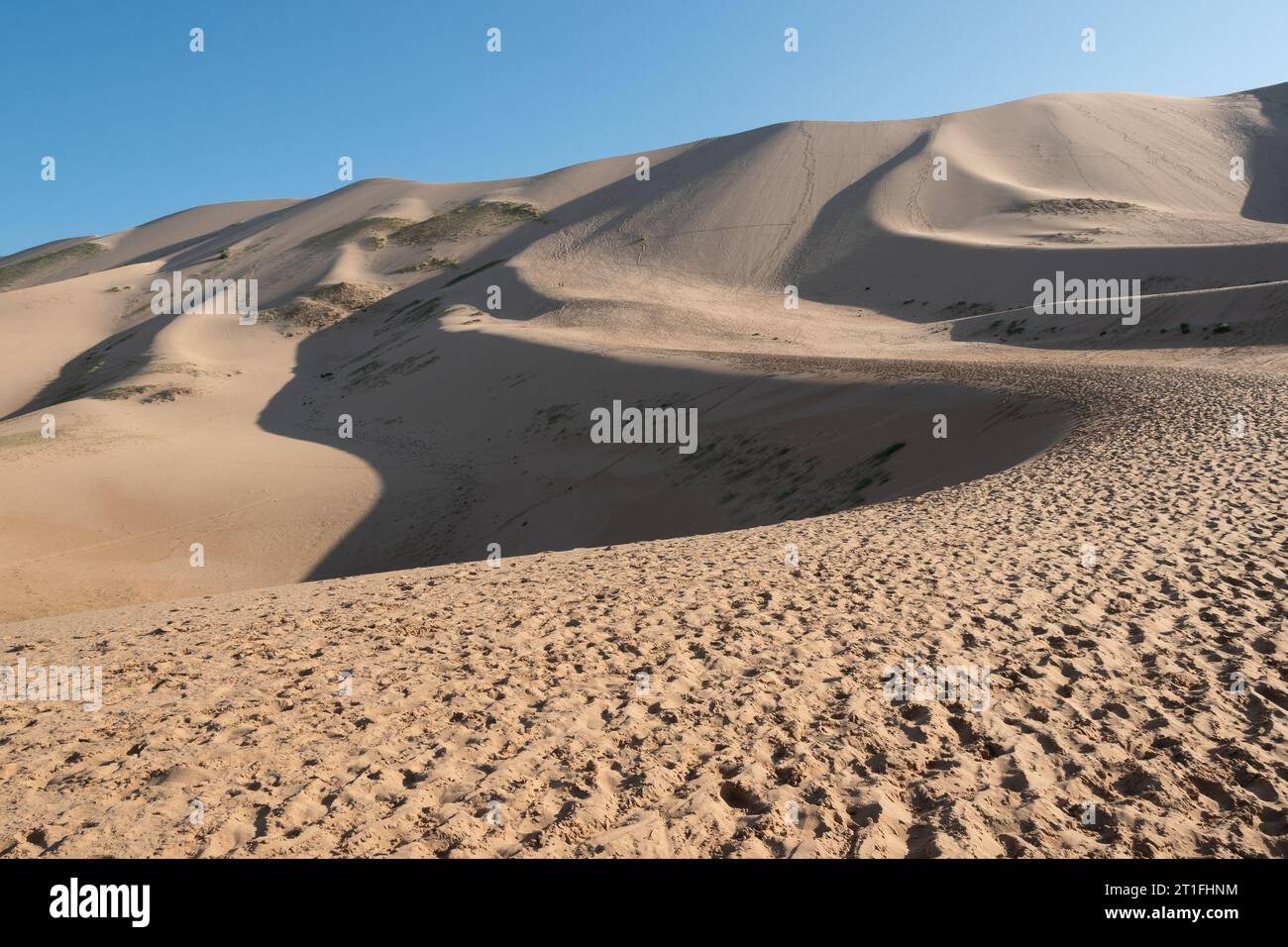 Desierto del gobi hi-res stock photography and images - Alamy