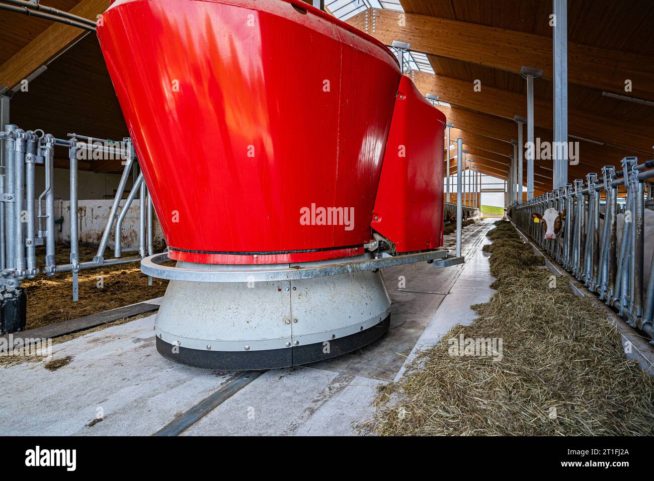 Rindviehfütterung - Futterroboter zieht seine Bahn durch modernen ...
