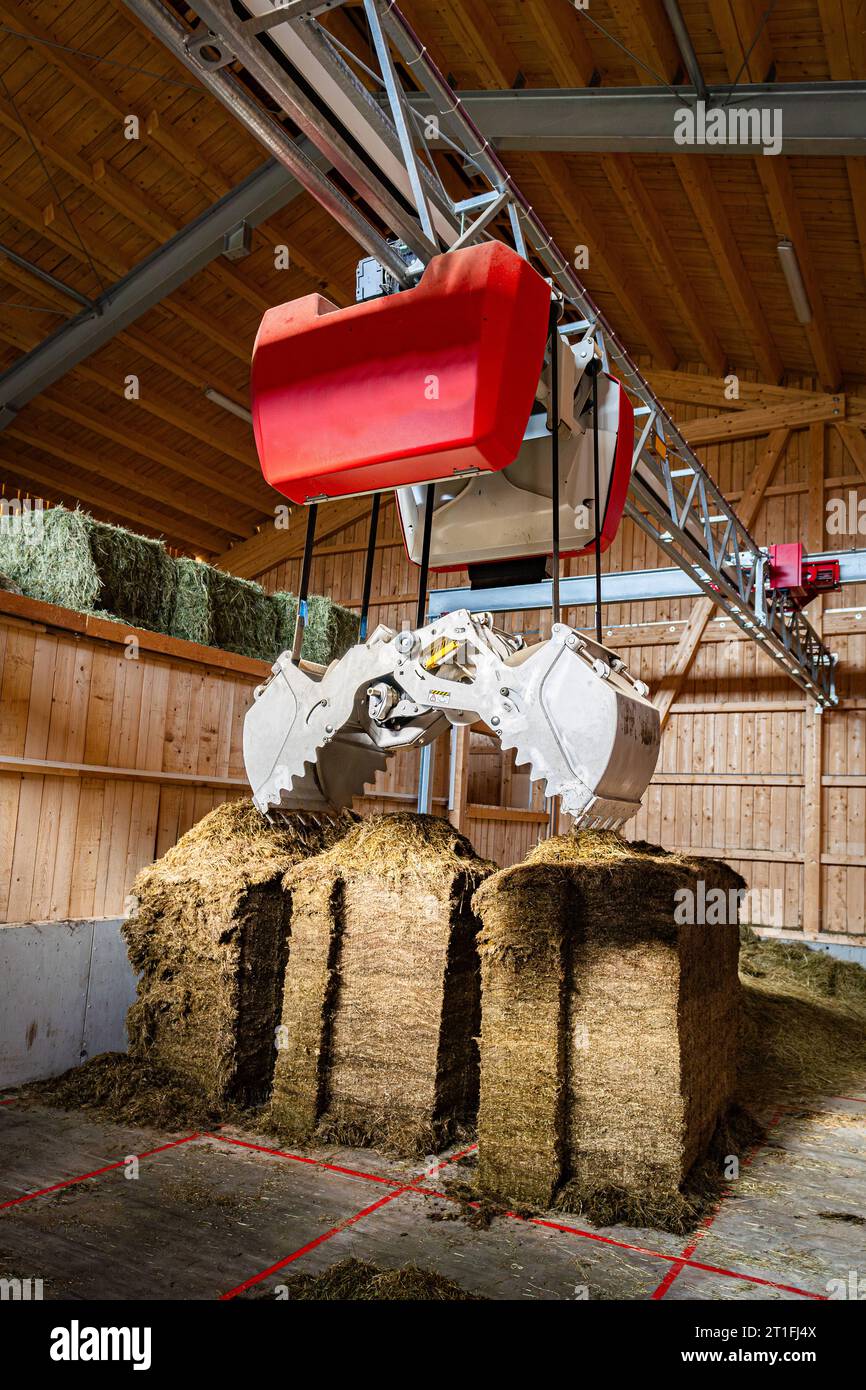 Moderner Fütterungsroboter bei der Zusammenstellung der Futterration im ...