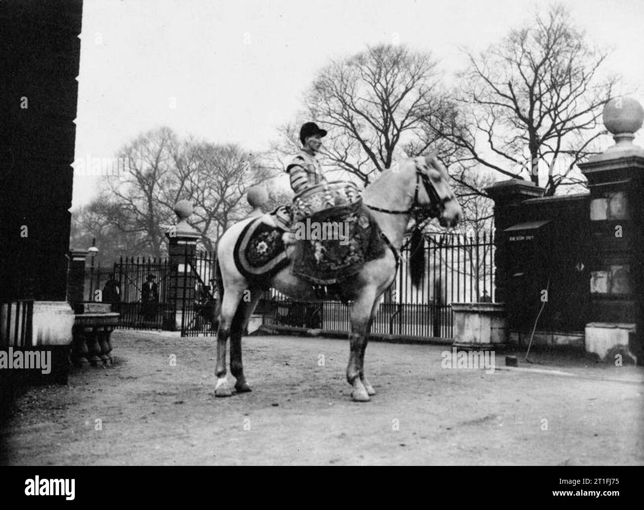 British army drum horse hi-res stock photography and images - Alamy