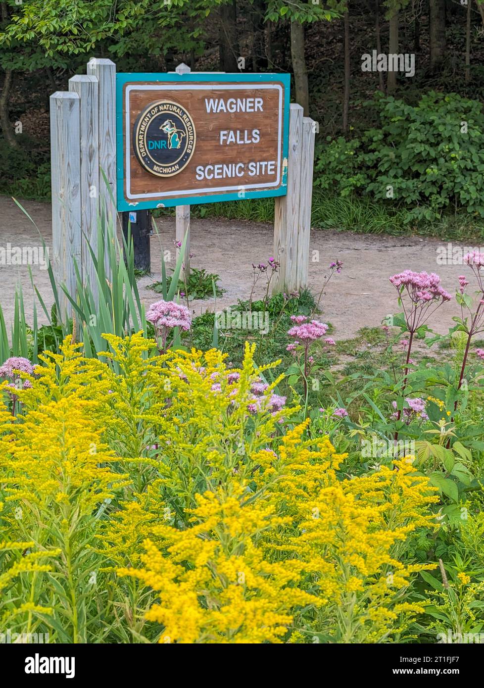 Sign for Wagner falls surrounded by wildflowers Stock Photo - Alamy