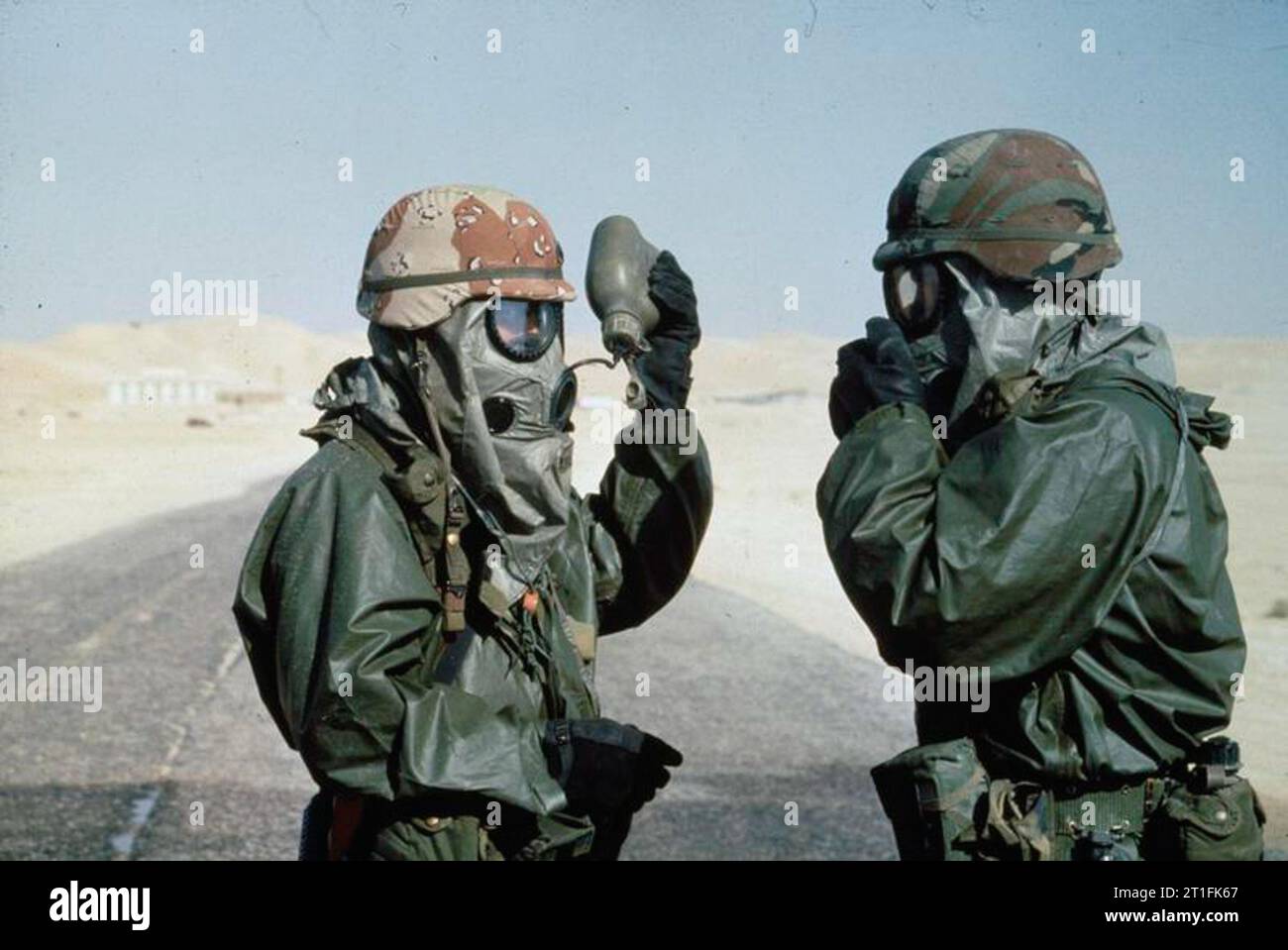 Chemical Warfare in the Twentieth Century The Gulf War 1991: Two United ...