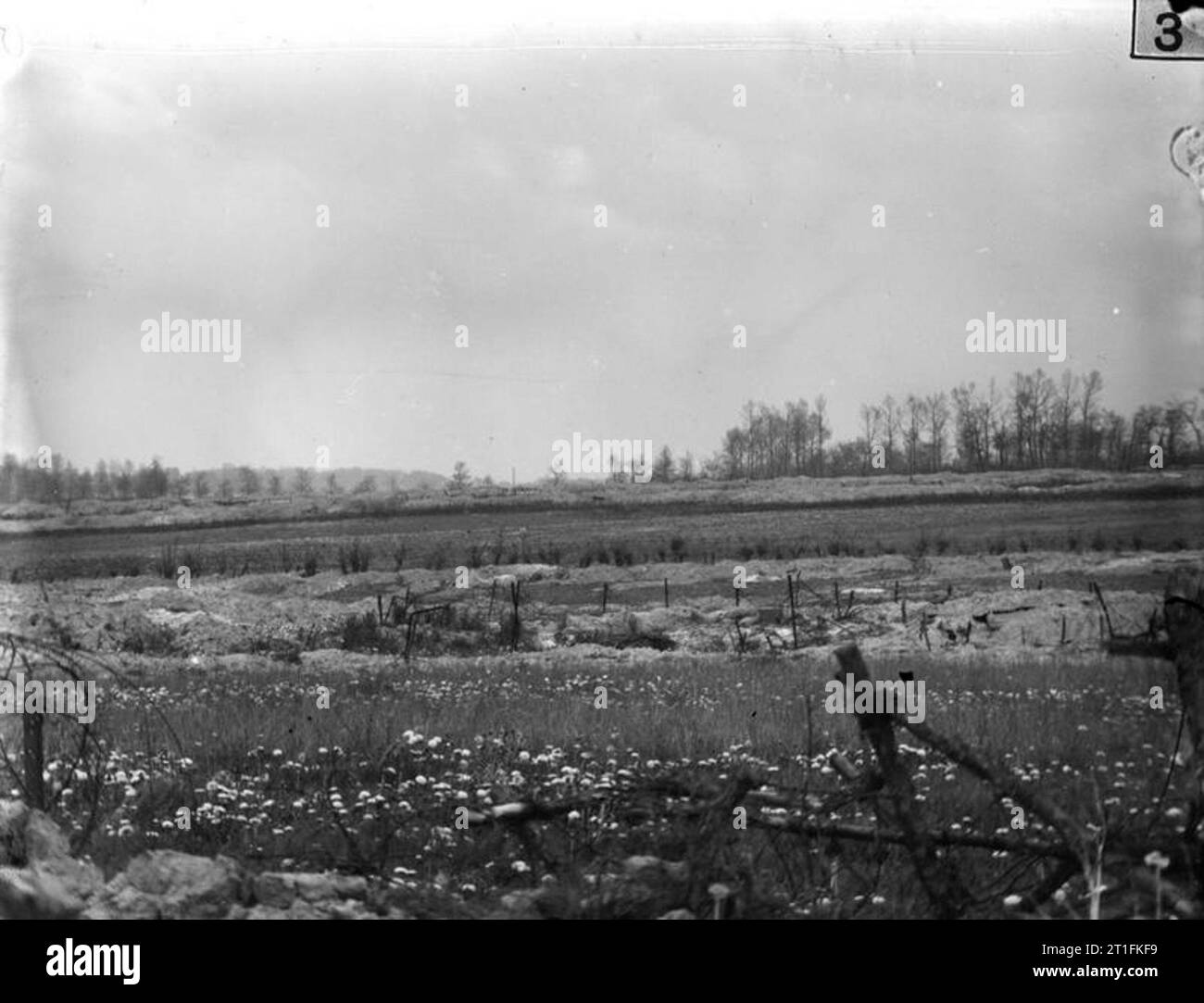 First World War Panoramas Collection Stock Photo - Alamy