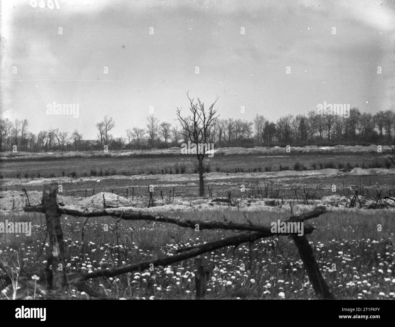 First World War Panoramas Collection Stock Photo - Alamy