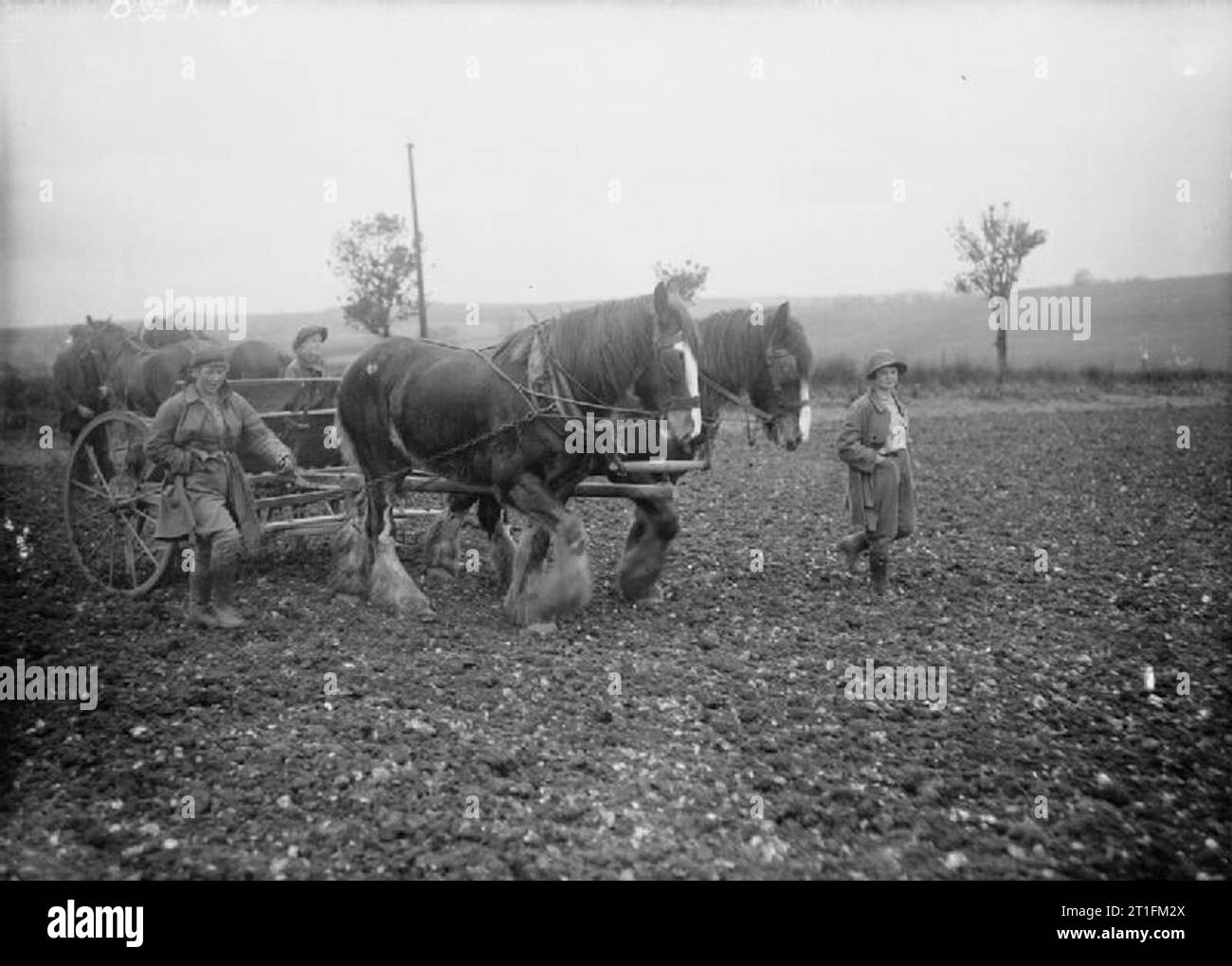 Agriculture in Britain during the First World War Female agricultural ...