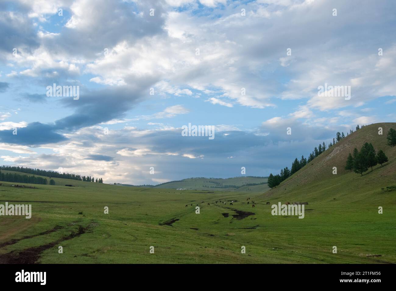 Hot mongolian hi-res stock photography and images - Alamy
