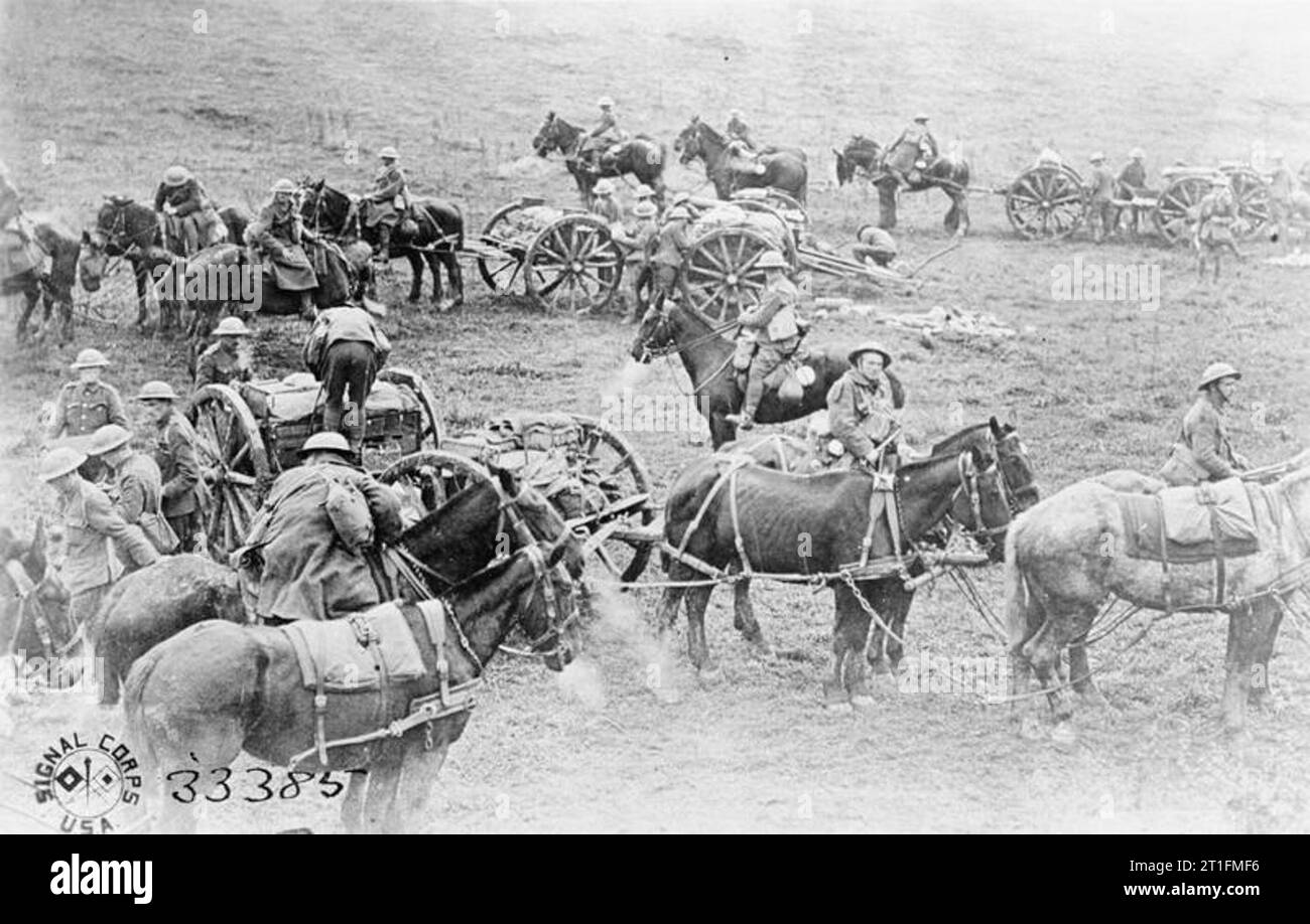 The British Army on the Western Front 1914-1918 British artillery in ...