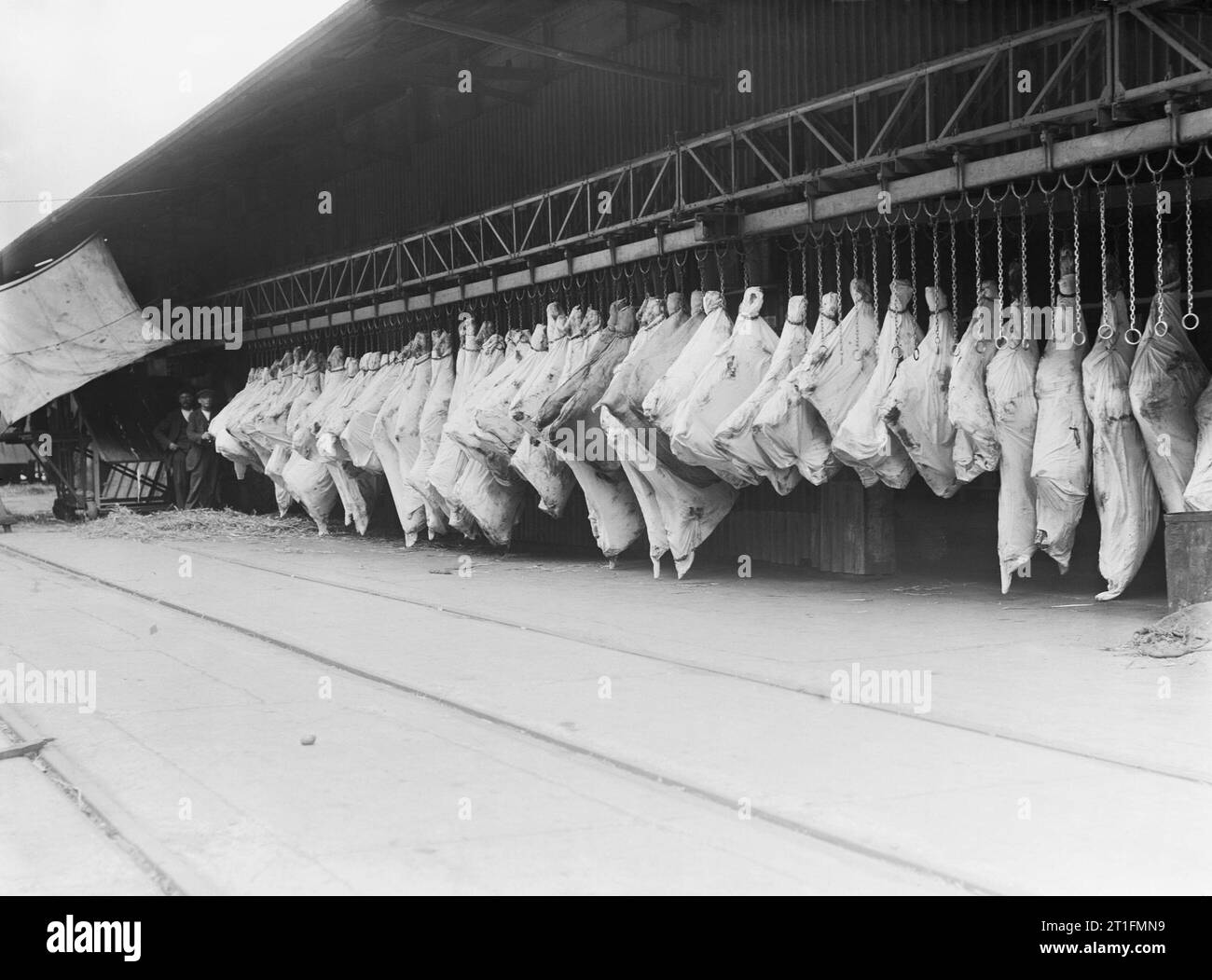 Ministry of Information First World War Miscellaneous Collection Food ...