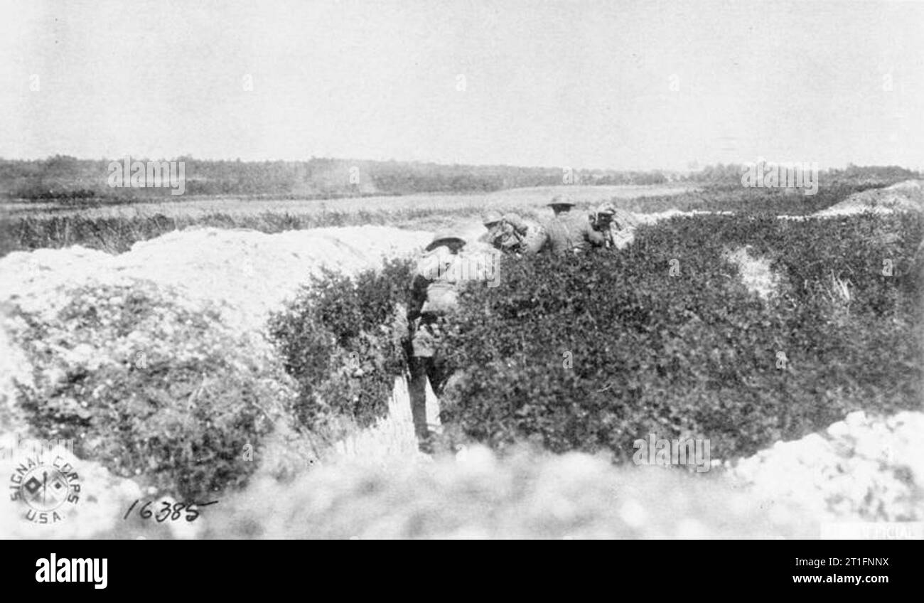The US Army on the Western Front 1917-1918 Troops of the Signal Corps ...