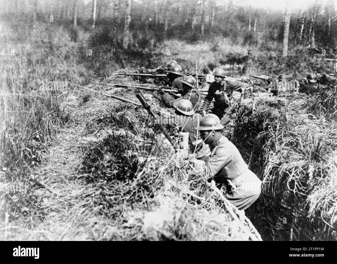 The US Army on the Western Front, 1918 Troops of the American 369th ...