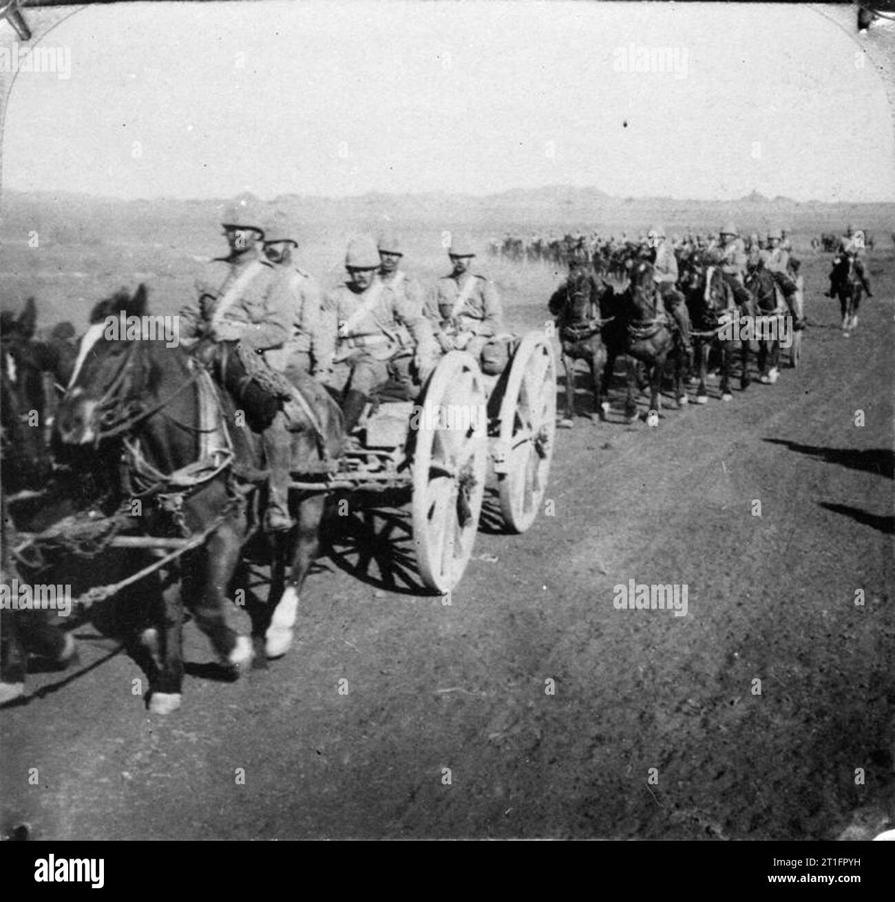 Ryal horse hi-res stock photography and images - Alamy