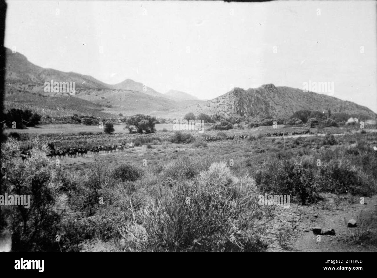 The Second Boer War, 1899-1902 Unit of the British cavalry or Mounted ...