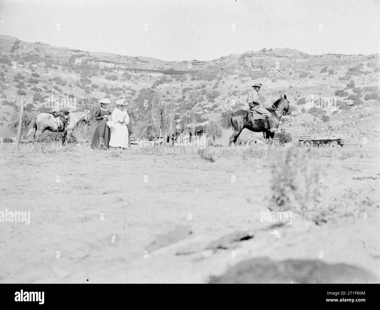 The Second Boer War, 1899-1902 British cavalry trooper on his horse ...