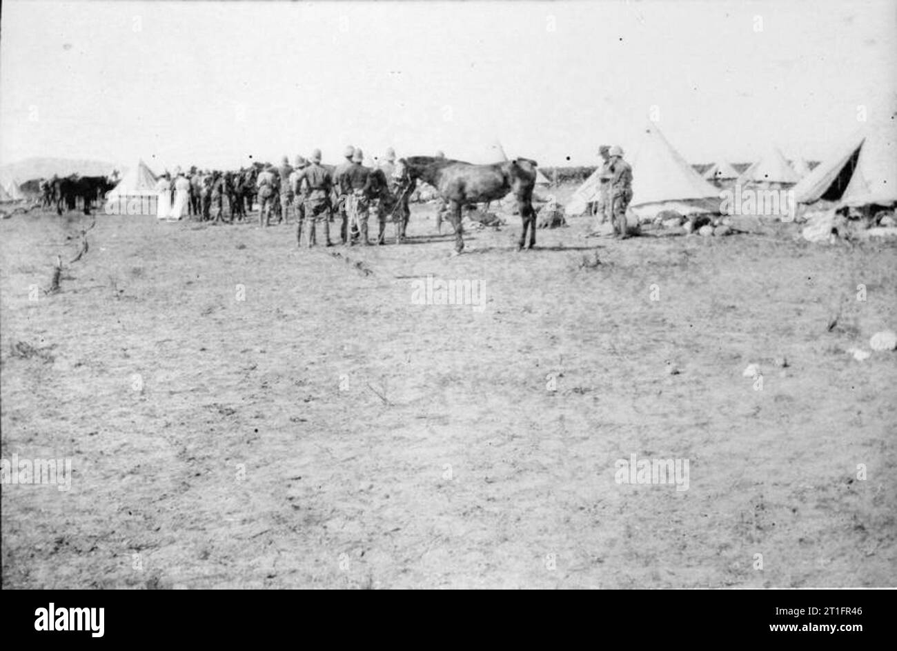 The Second Boer War, 1899-1902 British Cavalry at a camp Stock Photo ...