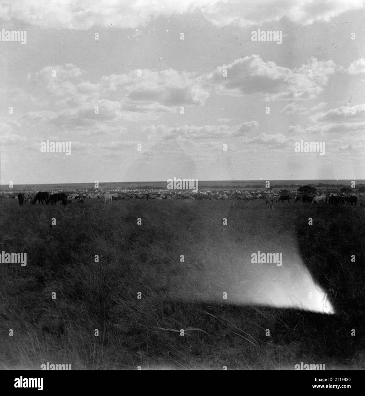 The Second Boer War, 1899-1902 The British Army camp in the field Stock ...