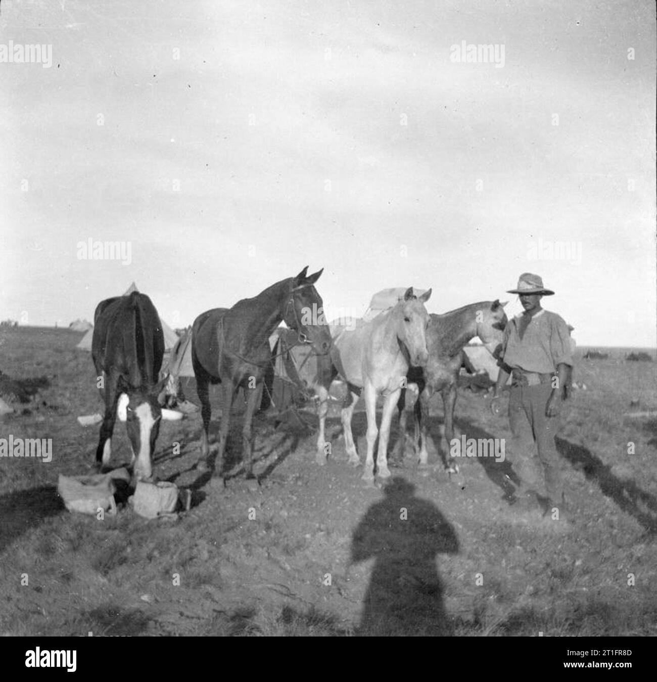 The Second Boer War, 1899-1902 British soldier watering his horses ...