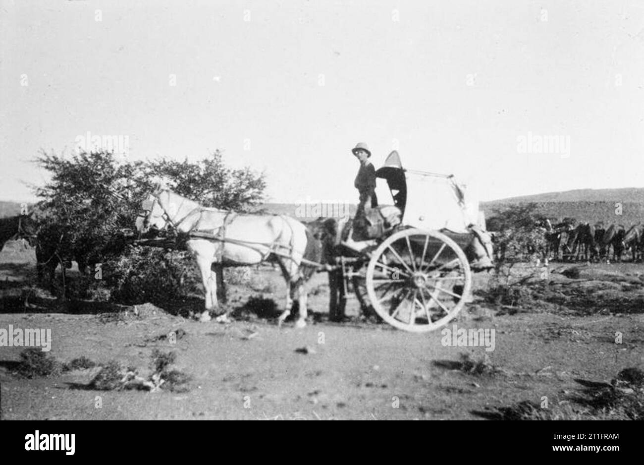 Boer war 1899 ambulance hi-res stock photography and images - Alamy