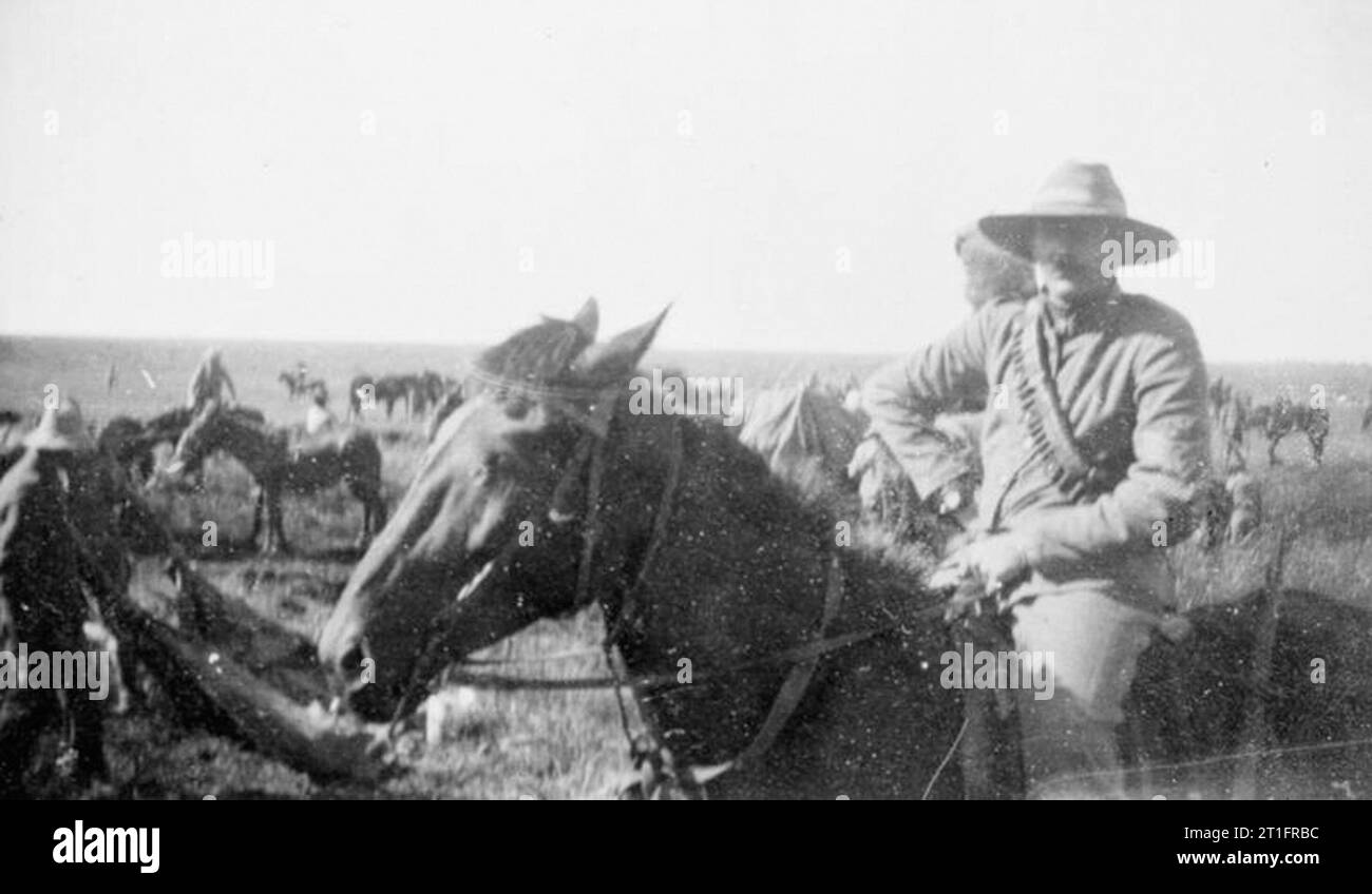 The Second Boer War, 1899-1902 British Army mounted infantry serviceman ...