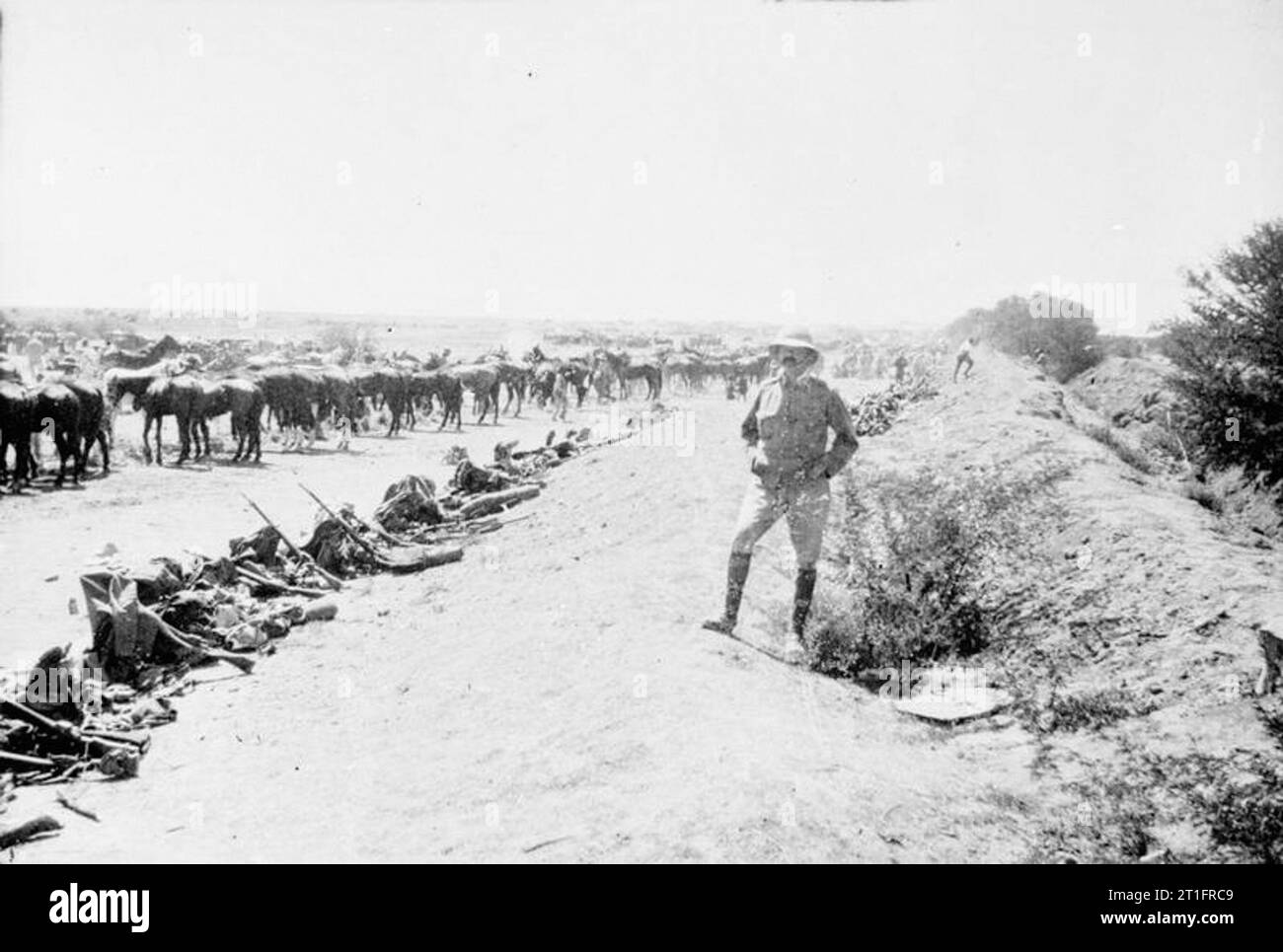 The Second Boer War, 1899-1902 The British Army column enjoying a break ...